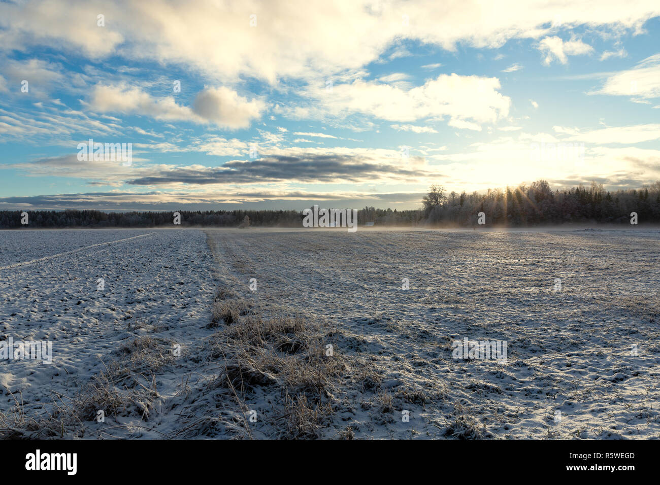 Old country house in a misty cold winter morning Stock Photo - Alamy