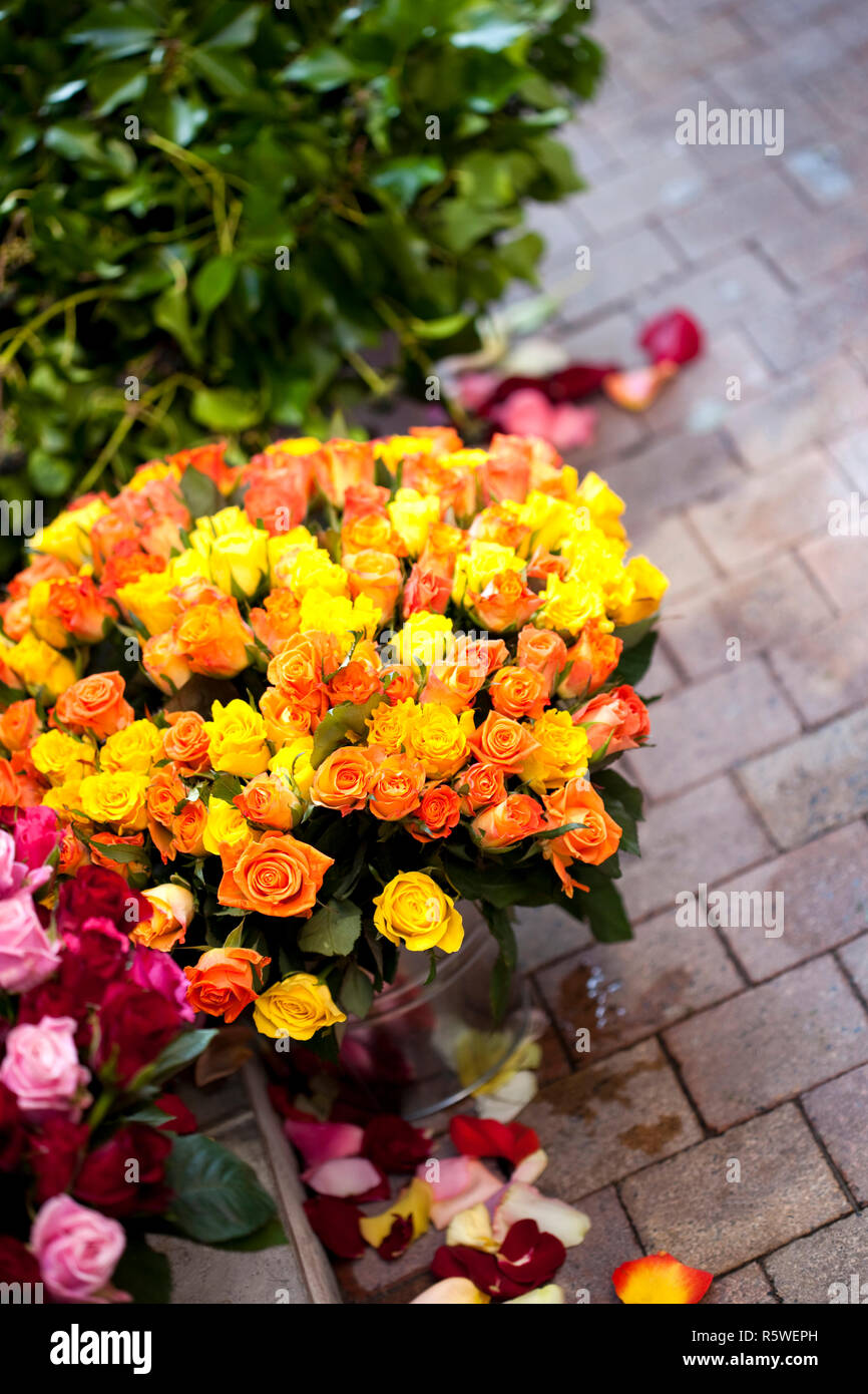 Bunches of roses Stock Photo - Alamy