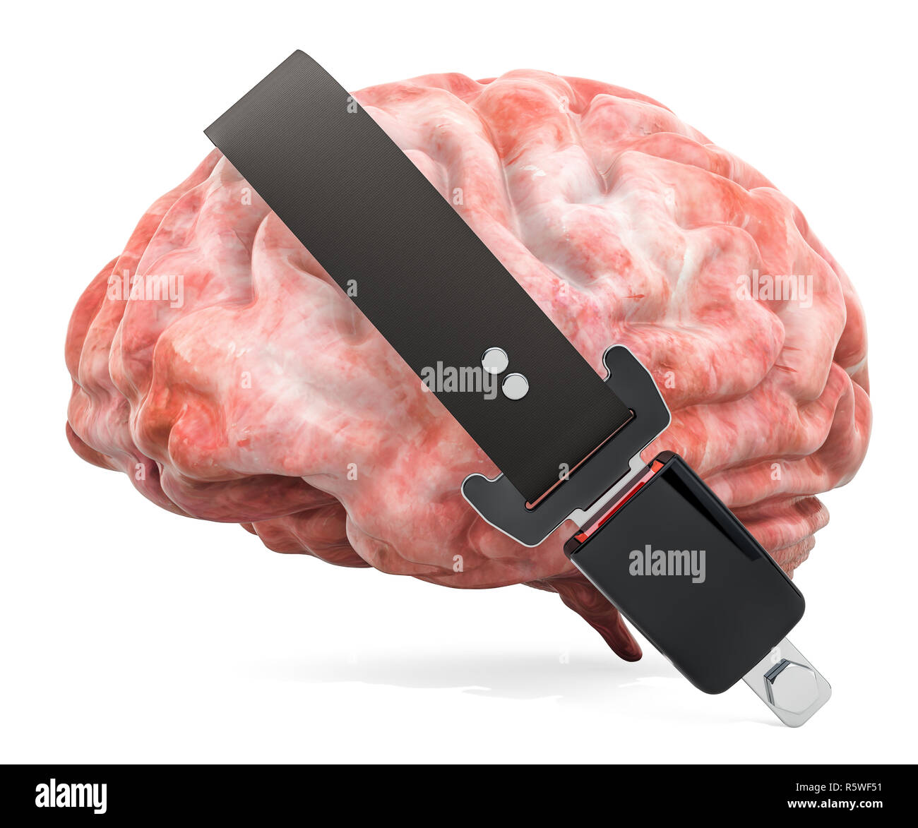 Brain with safety belt, 3D rendering isolated on white background Stock ...