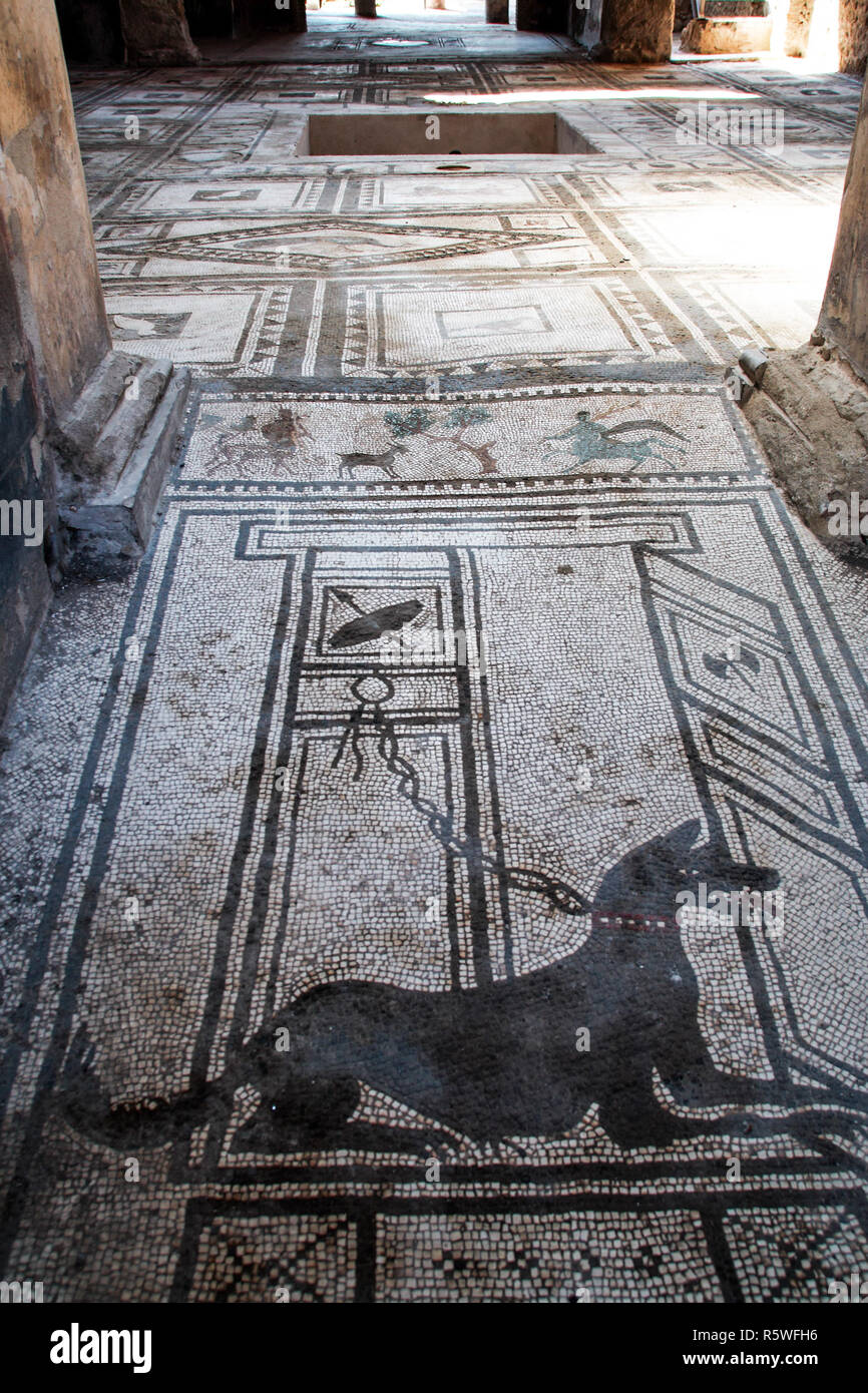 Pompeii Mosaic Dog High Resolution Stock Photography and Images - Alamy