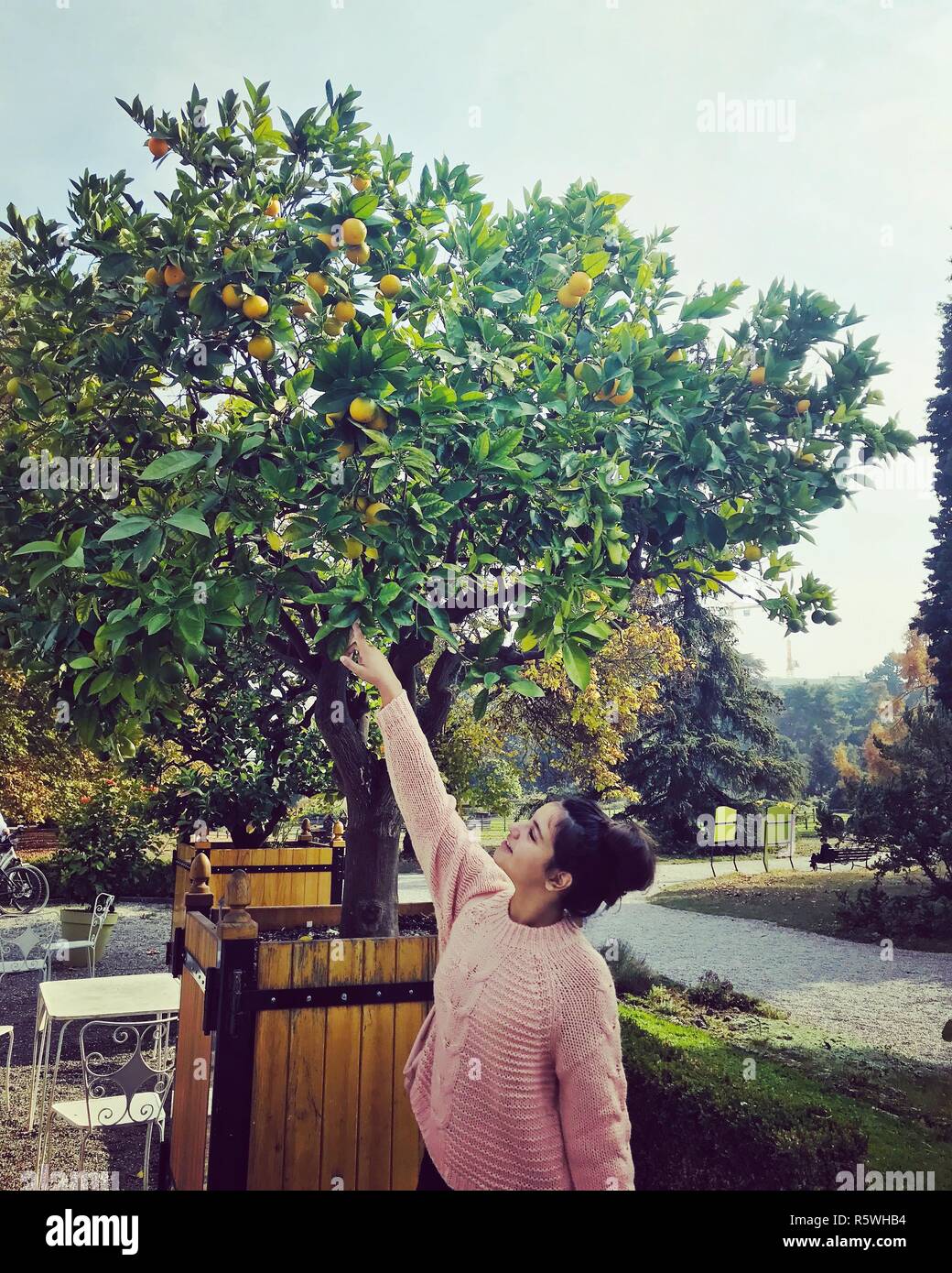 Children standing under a tree hi-res stock photography and images - Alamy