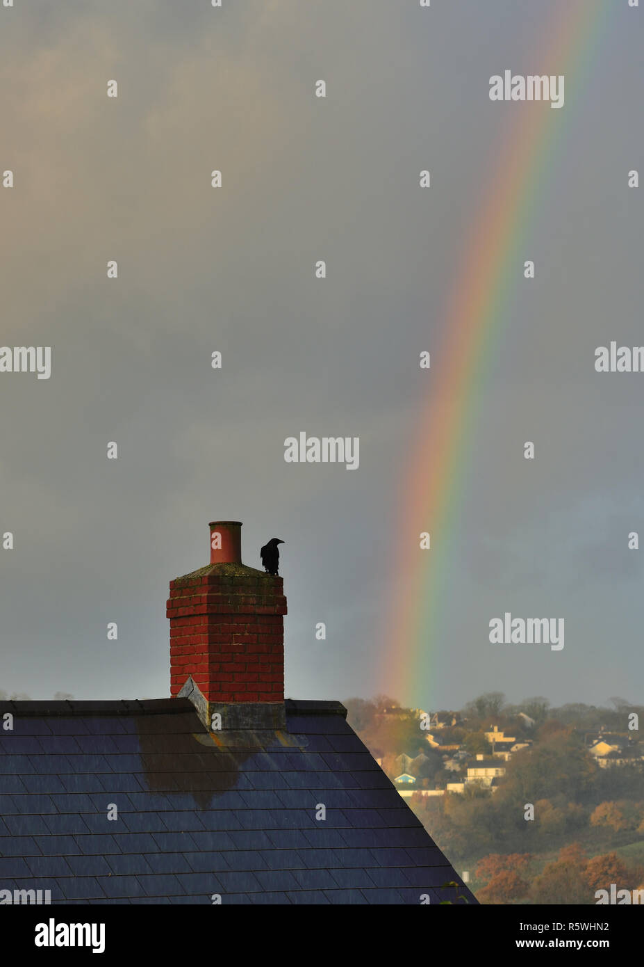 Rainbow coloured colored colours colors colour color hi-res stock ...