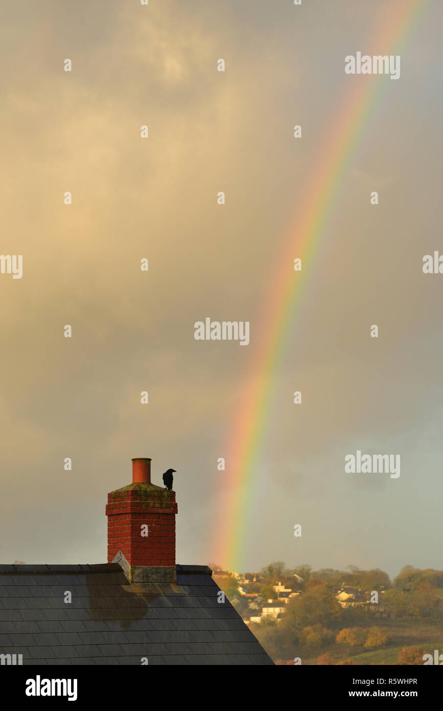 Refraction colours hi-res stock photography and images - Alamy