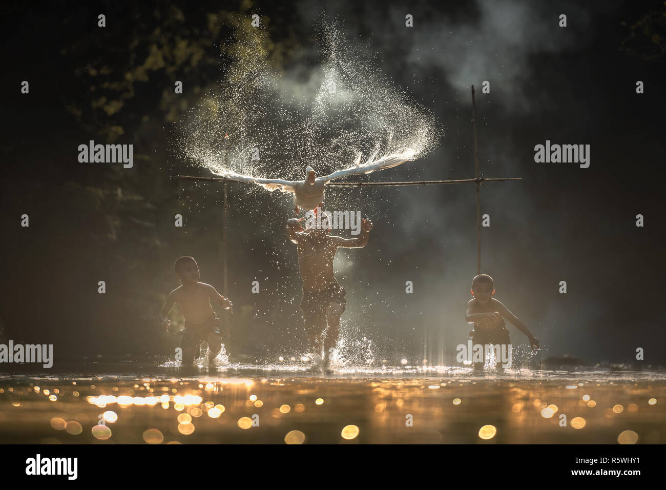 Boy chasing bird hi-res stock photography and images - Alamy