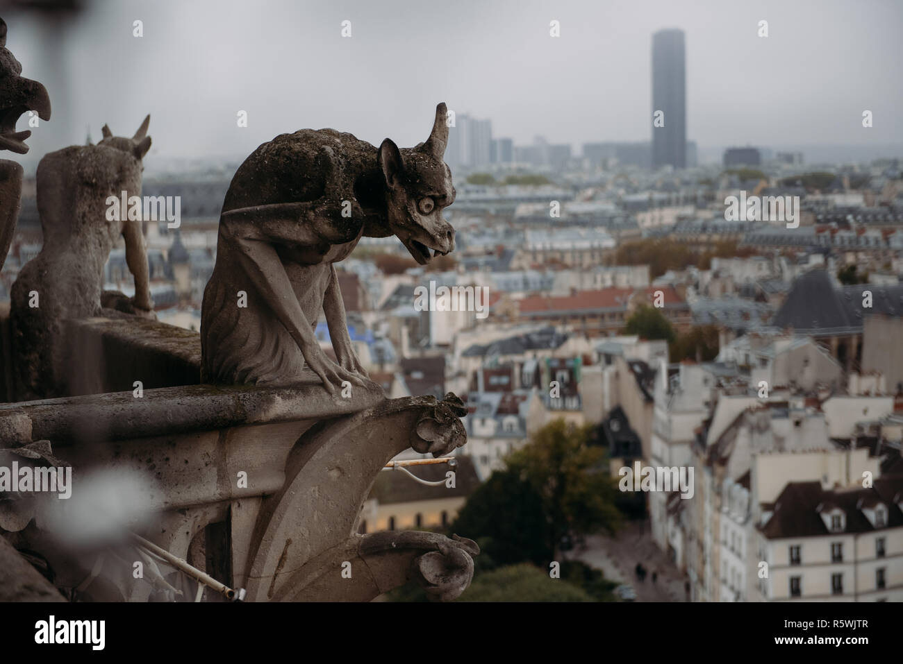 Close-up of gargoyles on Notre Dame Cathedral, Paris, France Stock ...
