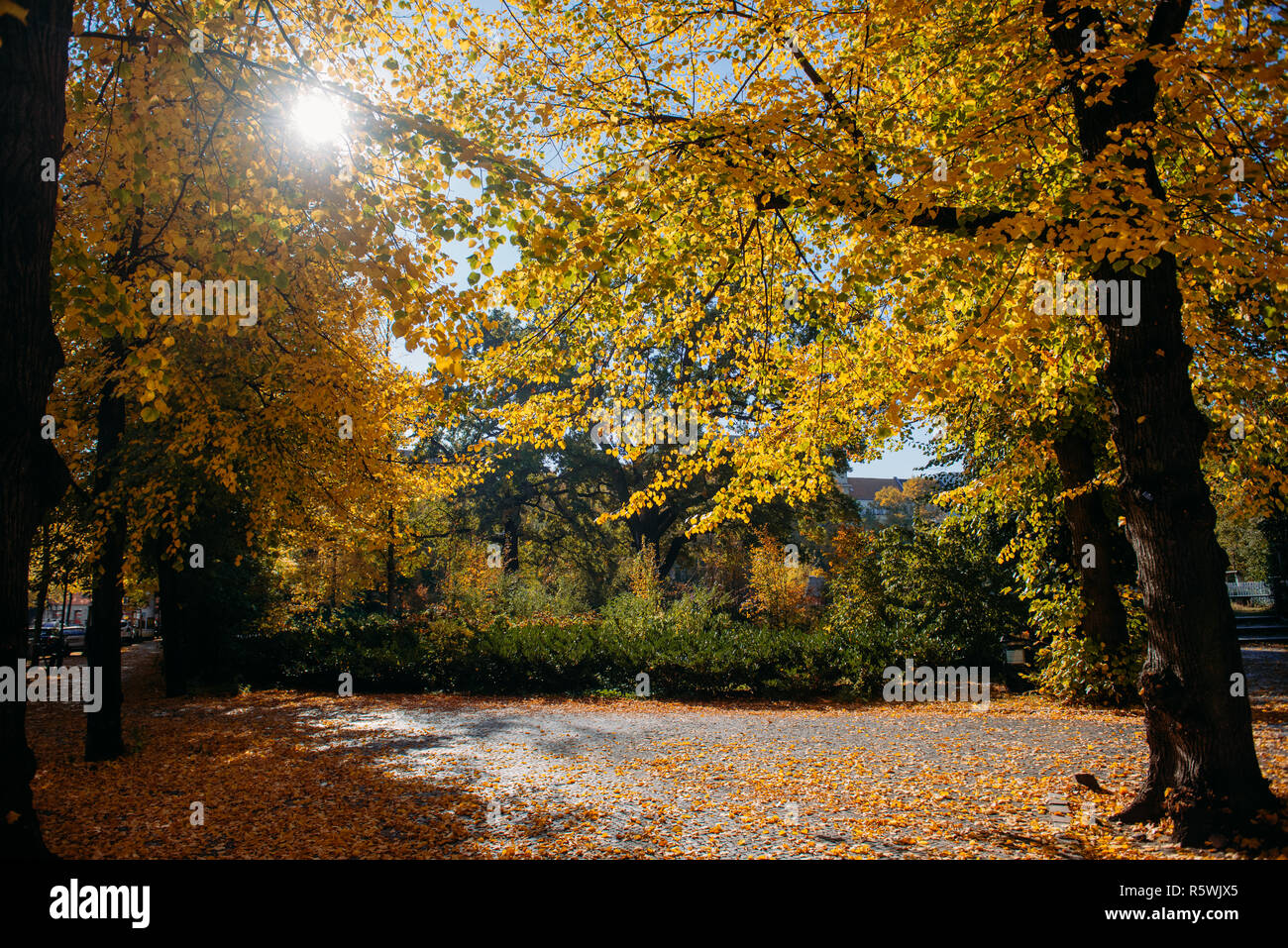 Autumn park, Berlin, Germany Stock Photo - Alamy