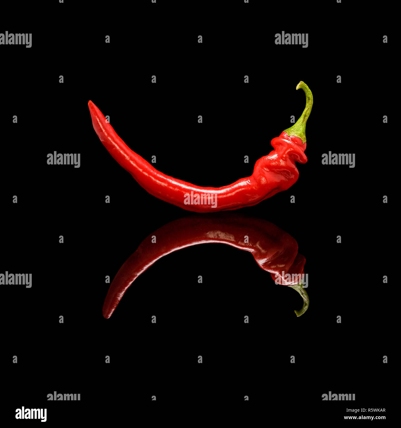 One red hot chili pepper Stock Photo - Alamy