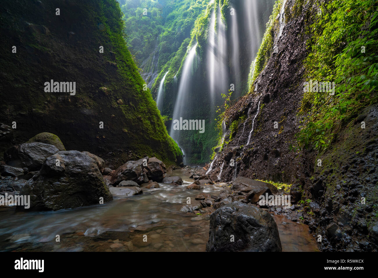 Madakaripura Waterfall, East Java, Indonesia Stock Photo - Alamy