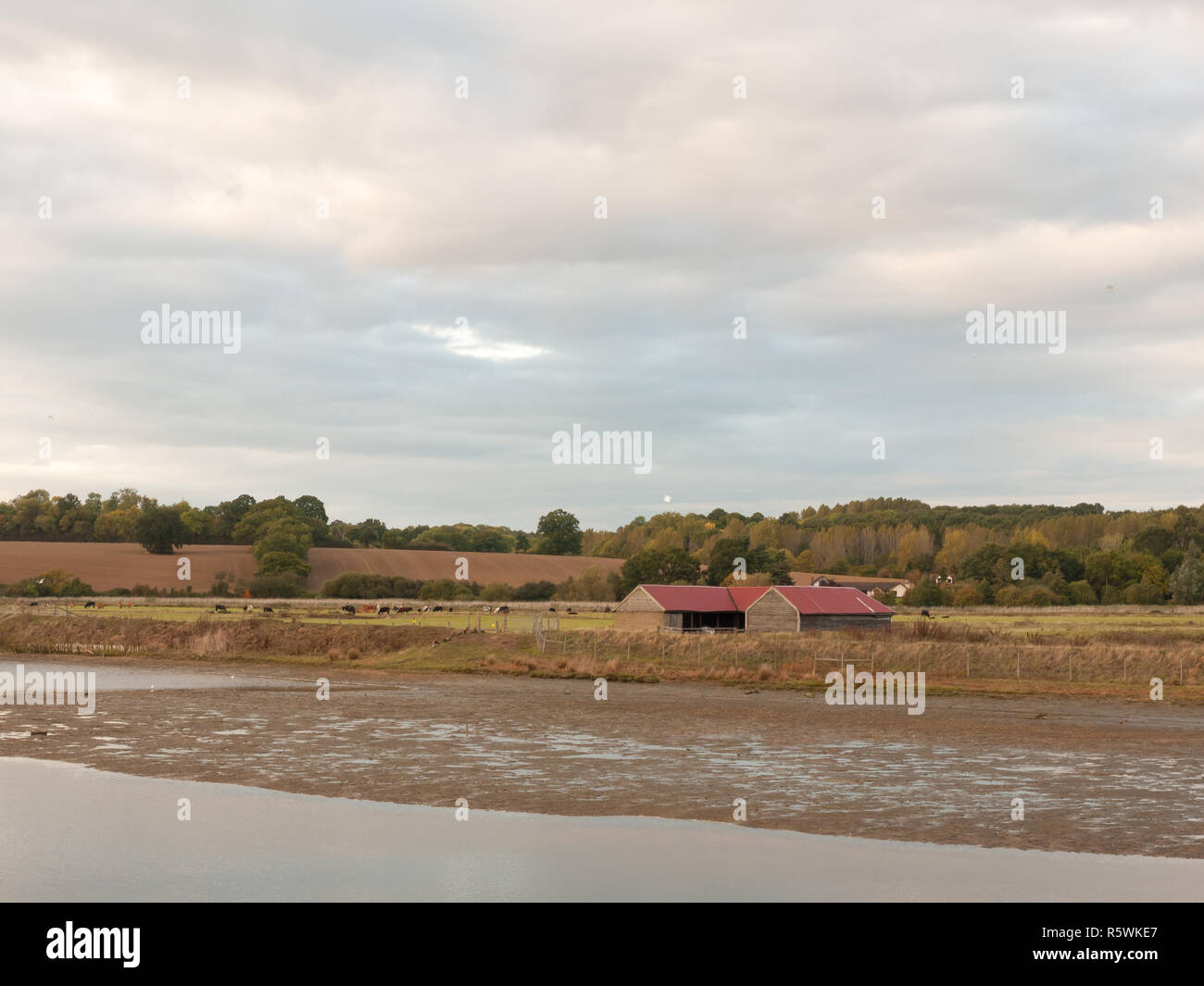 lake river through countryside with farm house roof agriculture scene ...