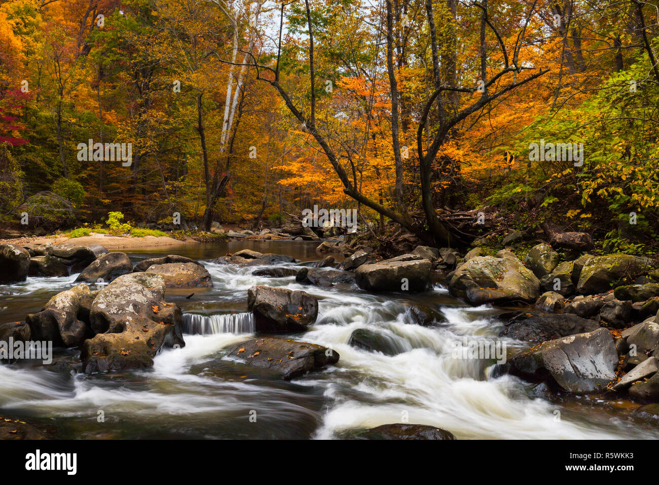 Rushing water through Rock Creek Park in the heart of Washington, DC ...