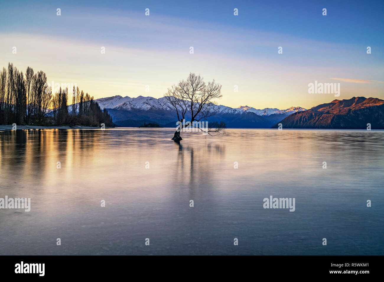 Willow island hi-res stock photography and images - Alamy