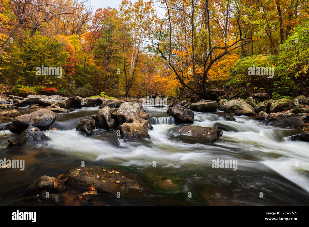 Rushing water through Rock Creek Park in the heart of Washington, DC ...
