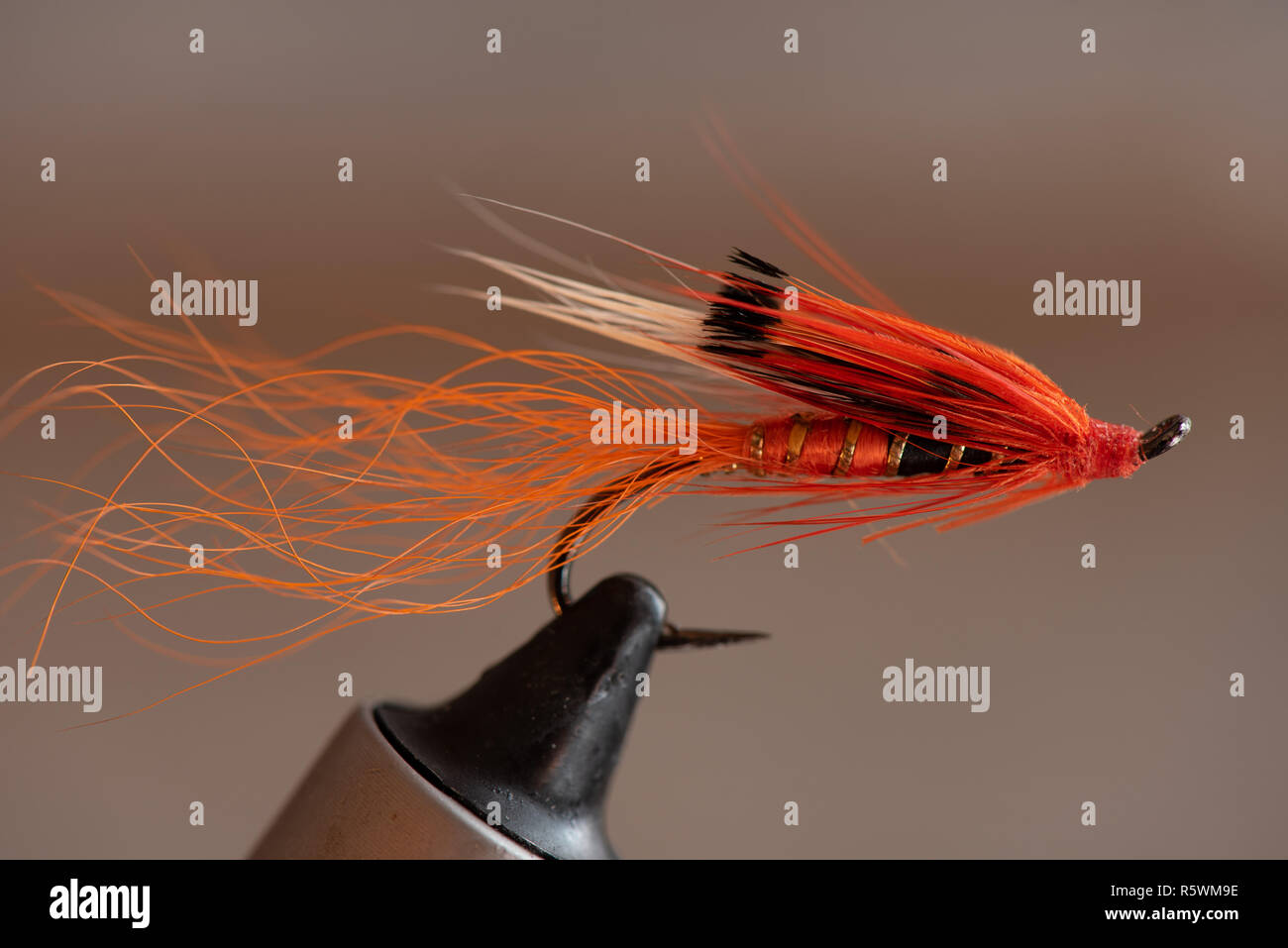 Classic salmon wet fly Stock Photo - Alamy