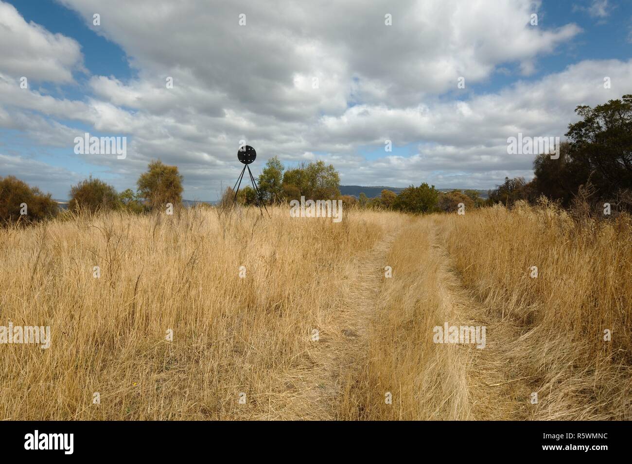 Dry autumn meadow Stock Photo - Alamy