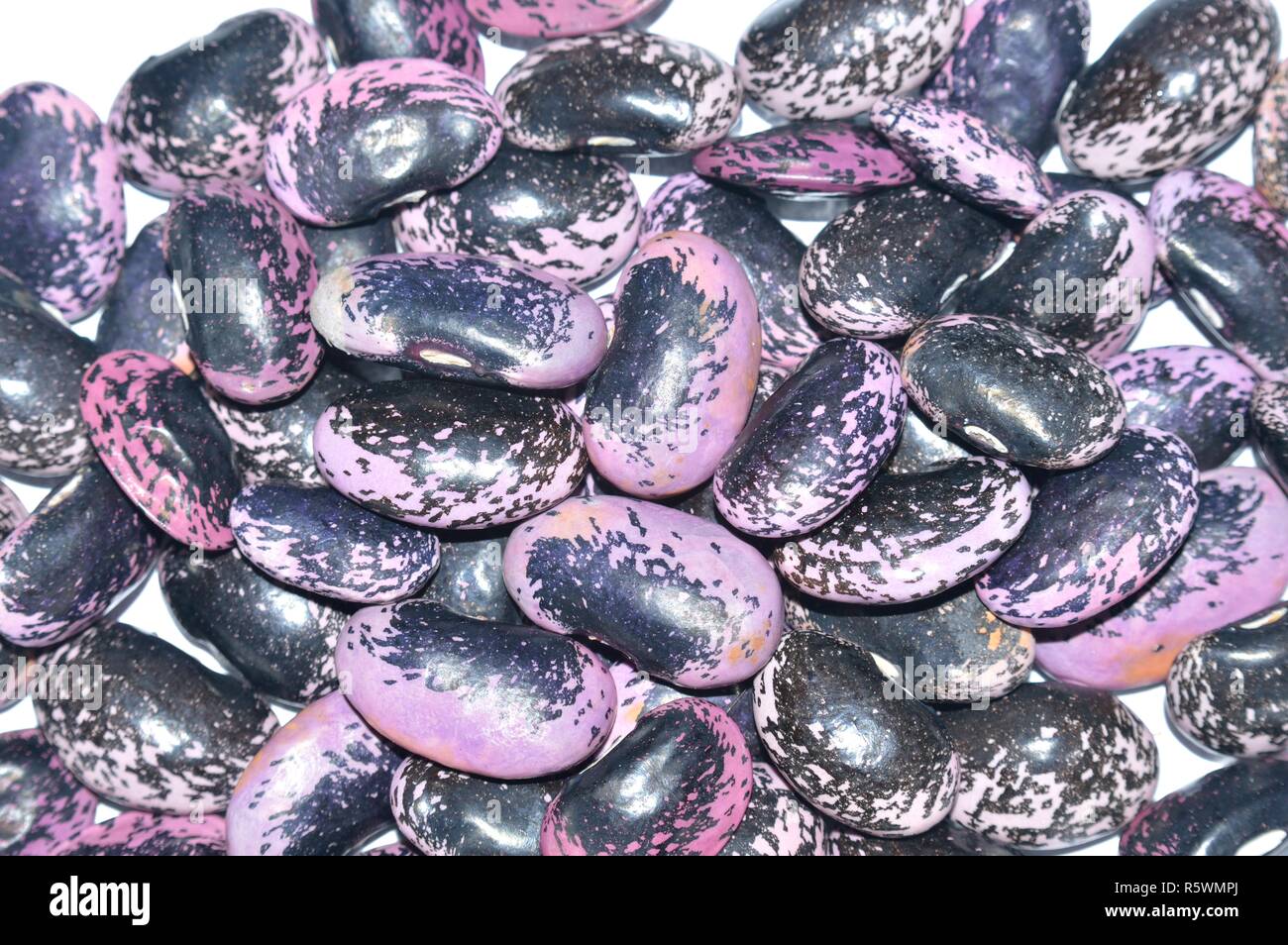 Runner bean seed hi-res stock photography and images - Alamy