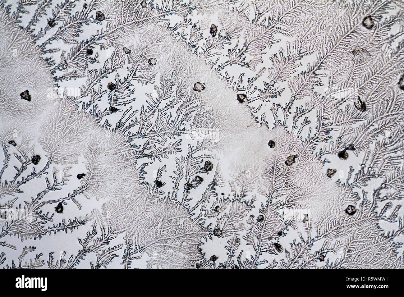 Microscopy crystal hi-res stock photography and images - Alamy