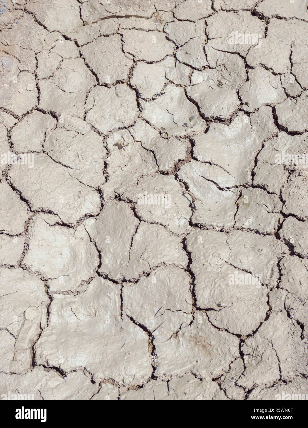 fissured soil background Stock Photo - Alamy