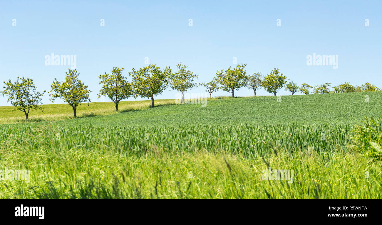 idyllic spring time scenery Stock Photo - Alamy