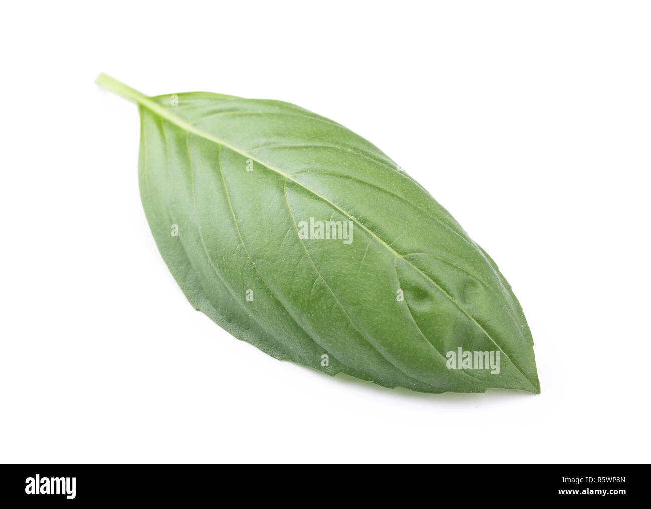 Holy field Cut Out Stock Images & Pictures - Alamy