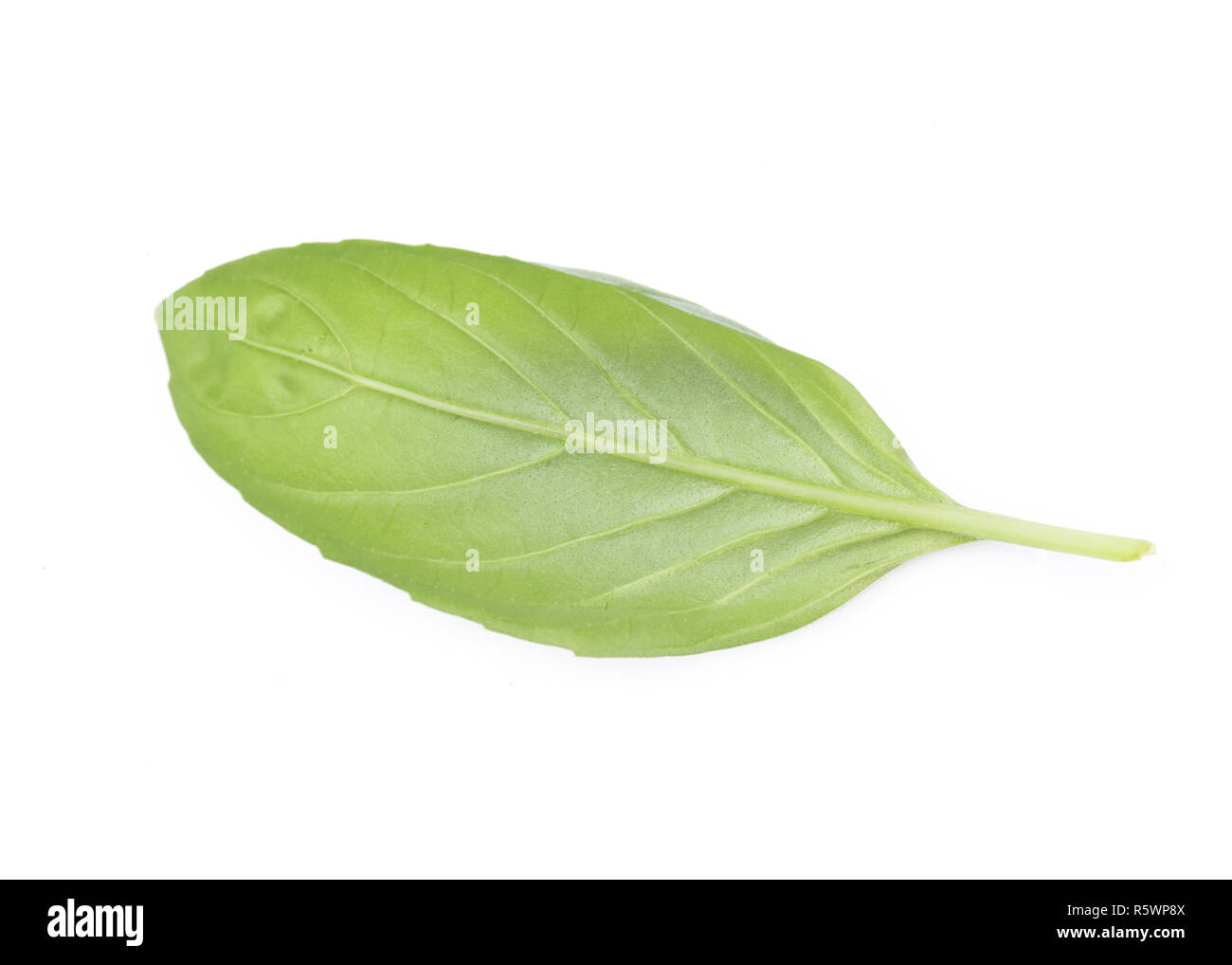 Holy field Cut Out Stock Images & Pictures - Alamy