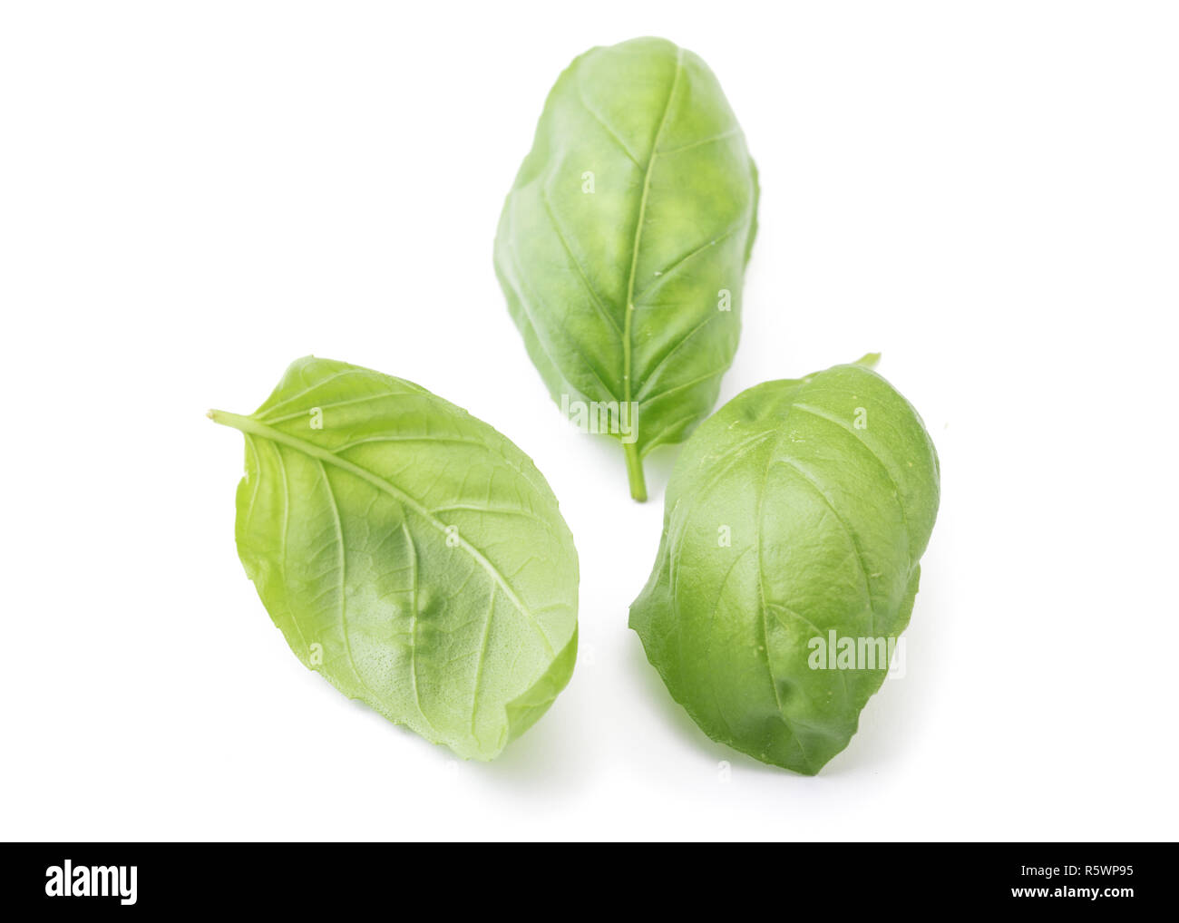 Holy field Cut Out Stock Images & Pictures - Alamy