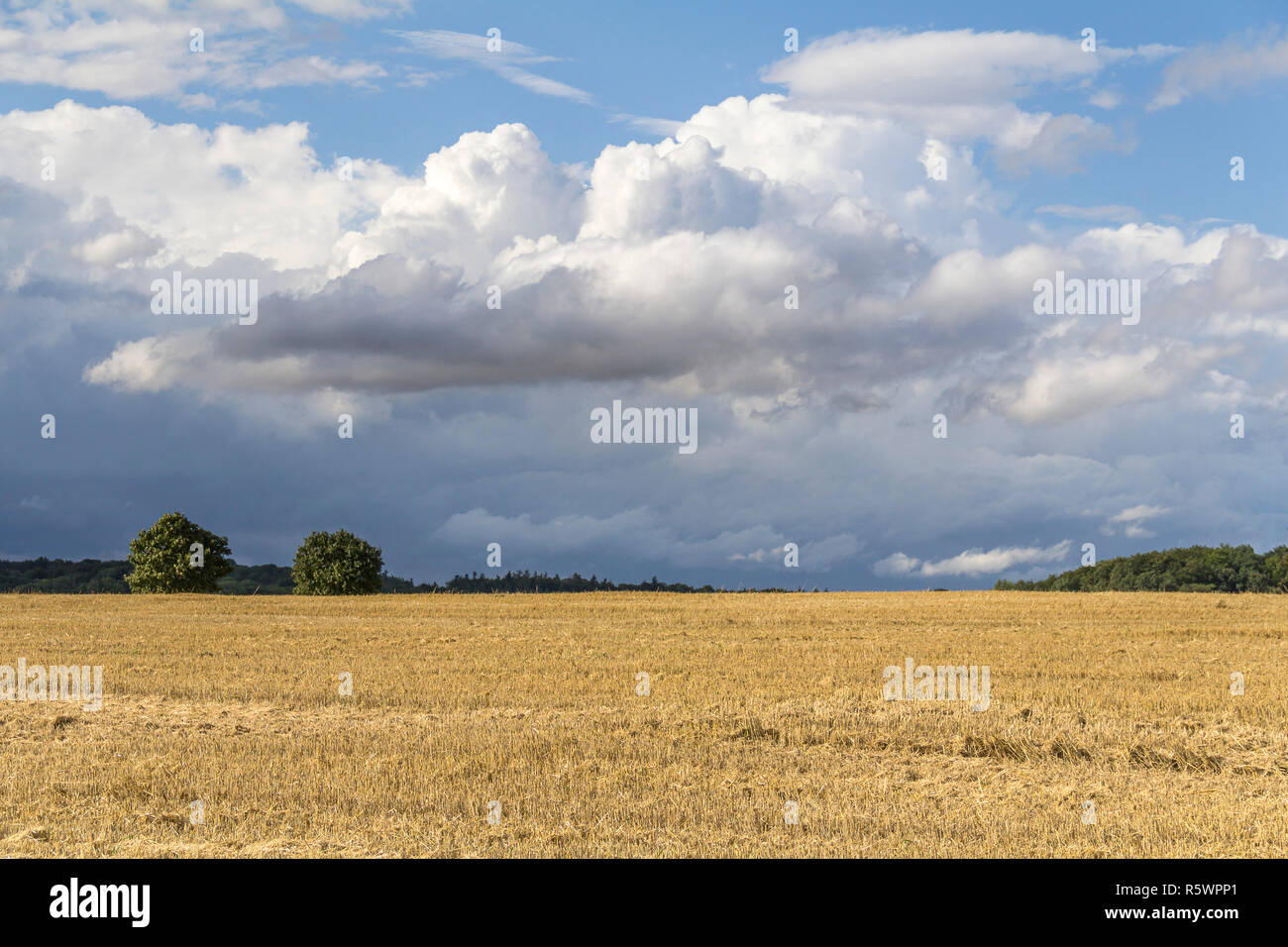 rural landscape with clouds Stock Photo - Alamy