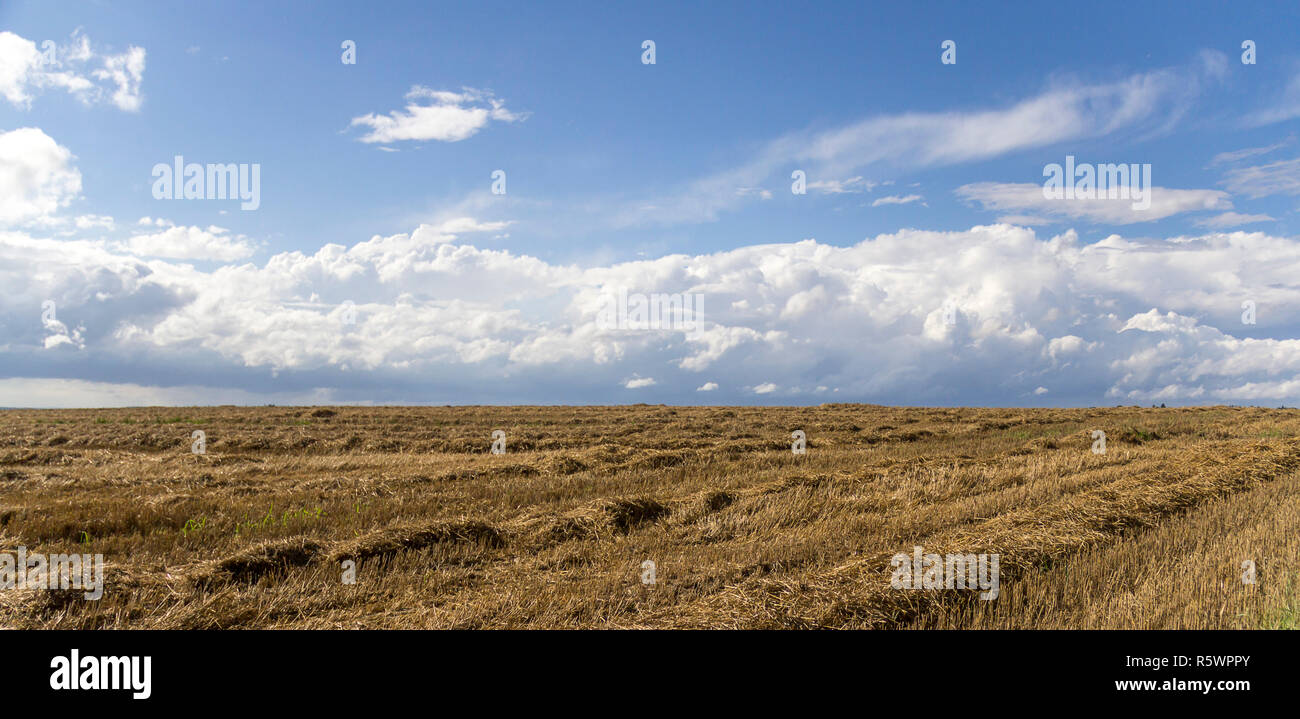 rural landscape with clouds Stock Photo - Alamy