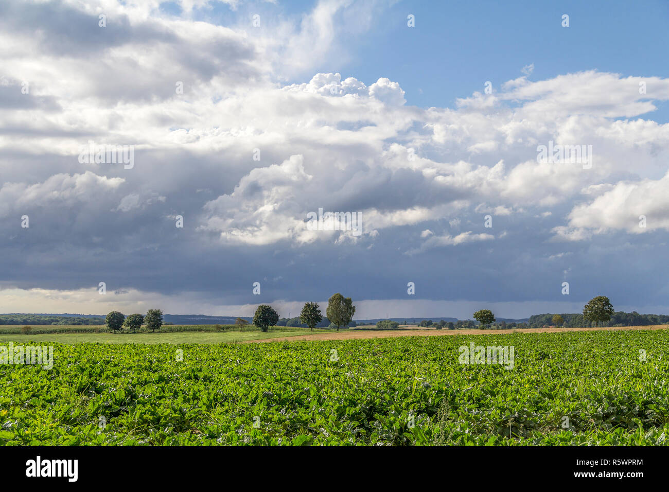 rural landscape with clouds Stock Photo - Alamy