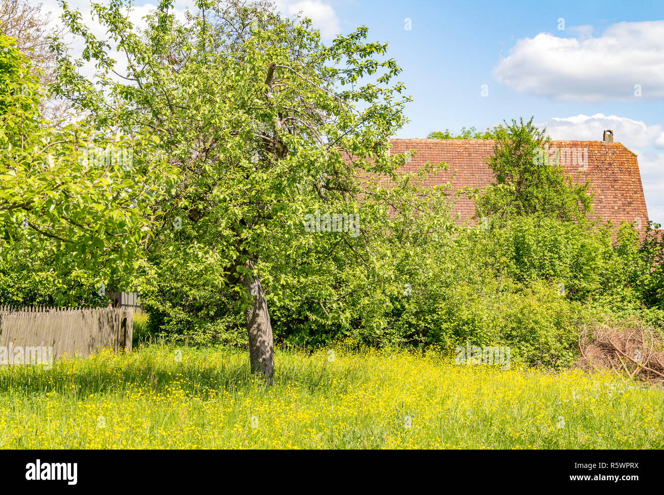 rural scenery with barn Stock Photo - Alamy