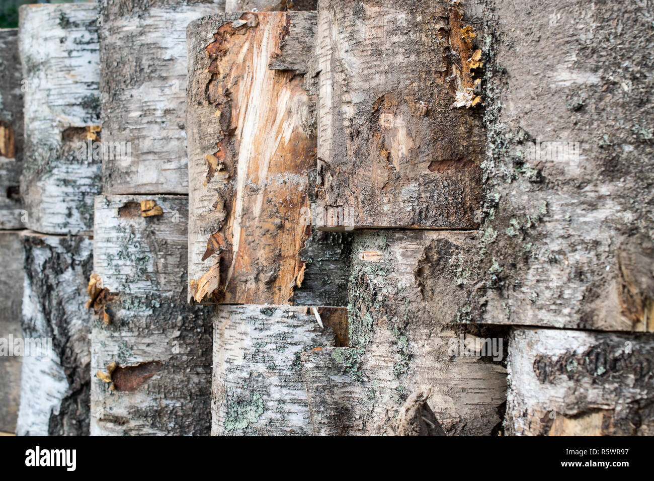 Rustic bark tree Stock Photo - Alamy