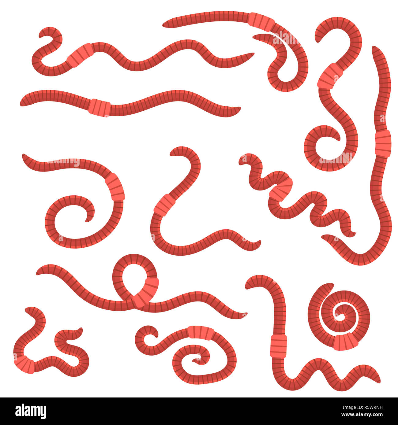 Animal Earth Red Worms for Fishing Stock Photo - Alamy