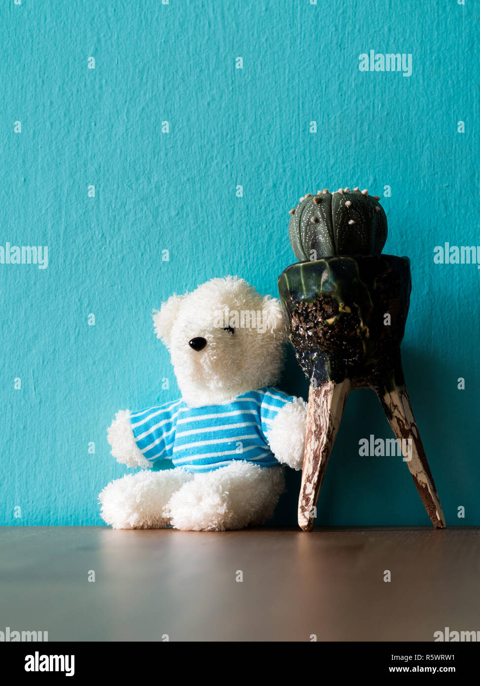 The white teddy bear wear a blue shirt and sitting lean on the cactus ...