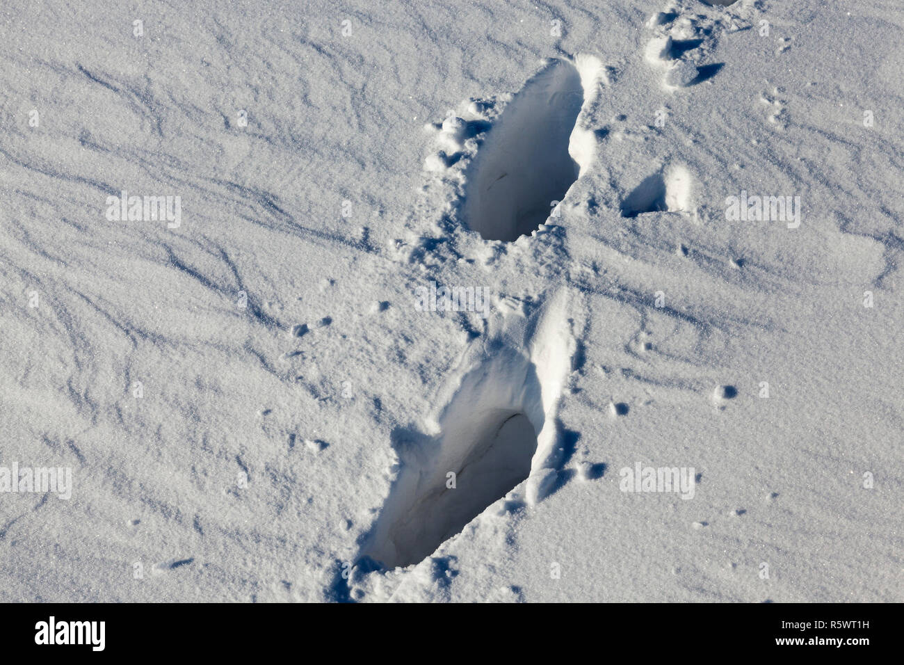 Snow drifts in winter Stock Photo - Alamy