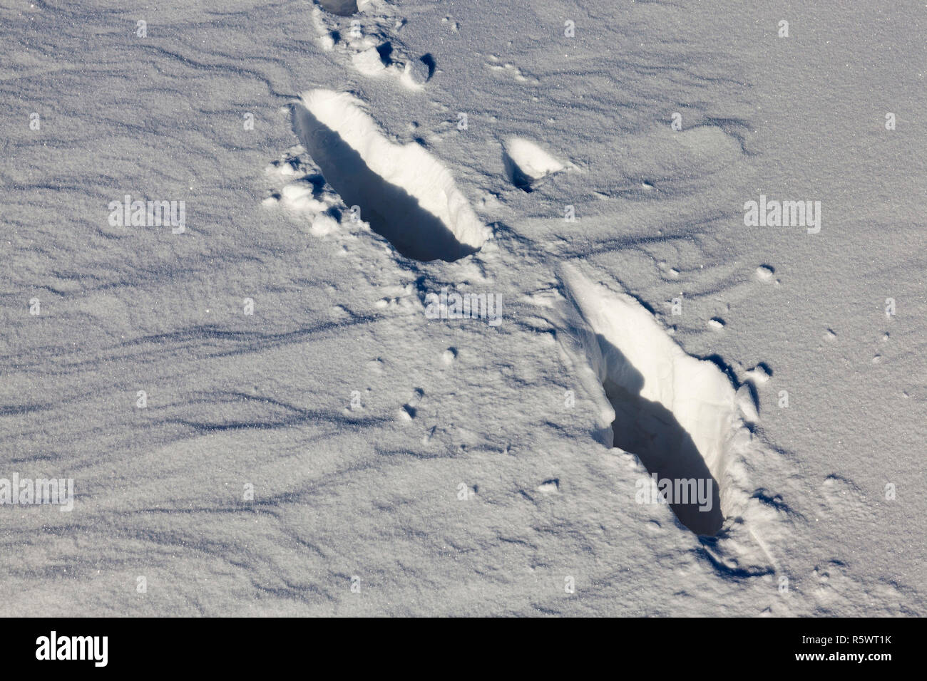 Snow drifts in winter Stock Photo - Alamy