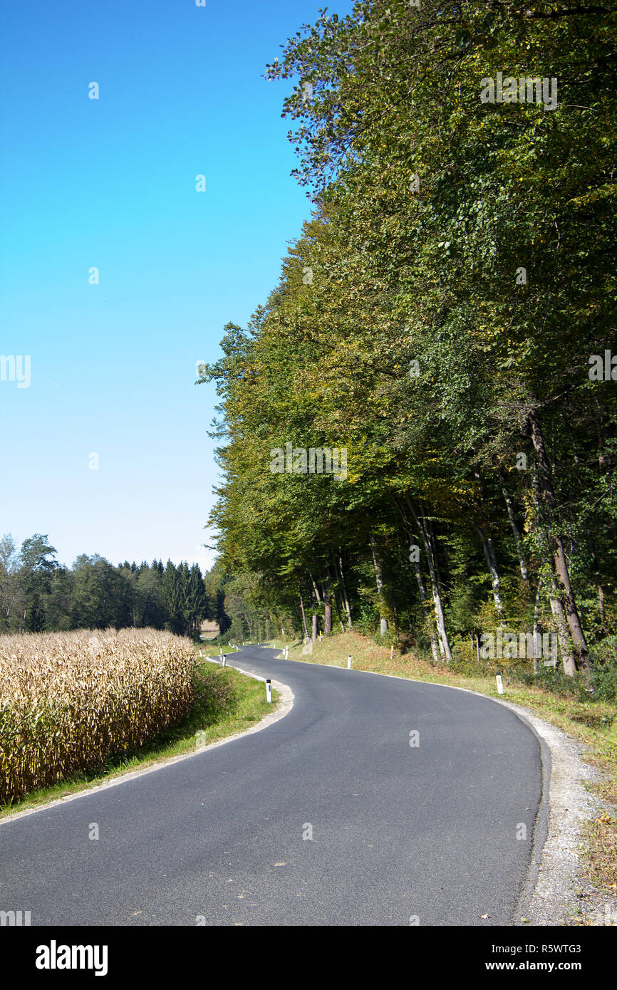 Macadam path hi-res stock photography and images - Alamy