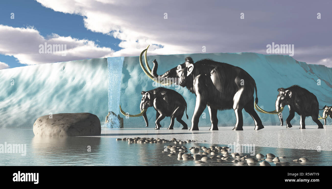 Woolly mammoths pleistocene hi-res stock photography and images - Alamy