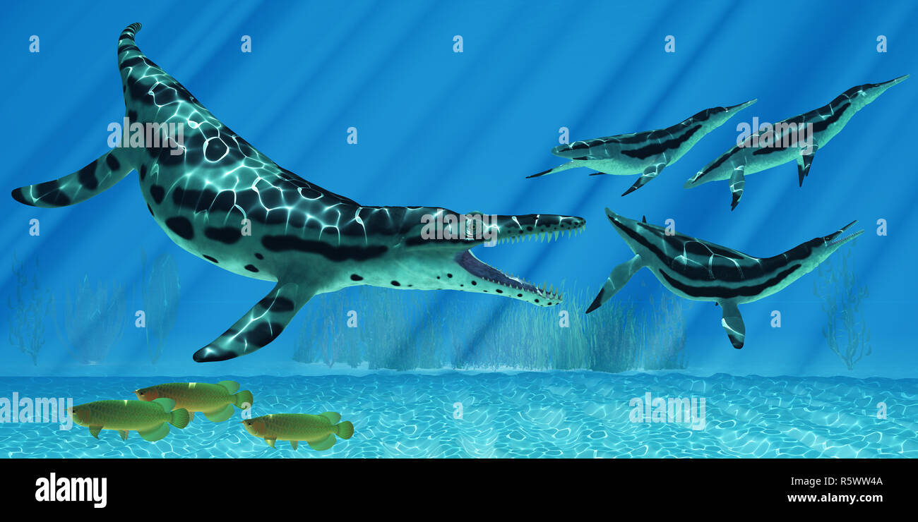 Kronosaurus Wikipedie Kronosaurus Marine Reptile Stock Photo Alamy