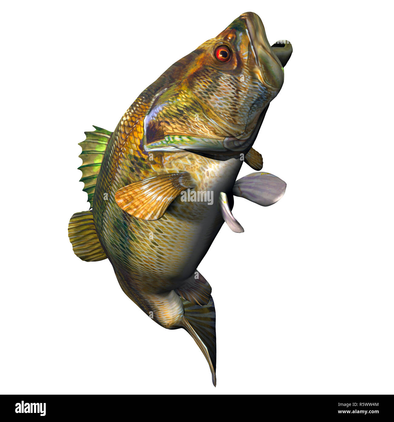 Largemouth Bass Strike Stock Photo - Alamy