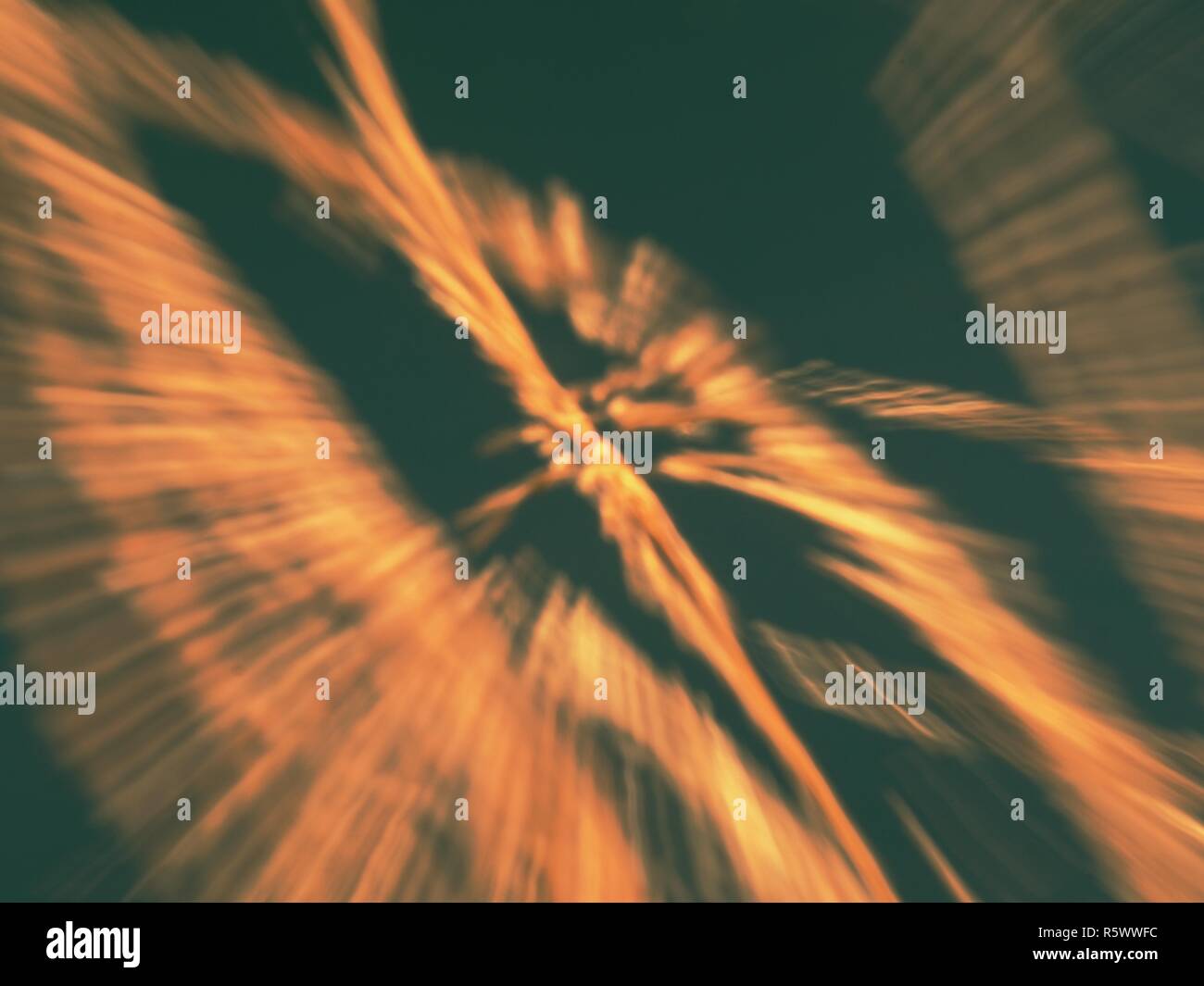 Blurry effect of yellow golden reeds and grass stalks on lake bank ...