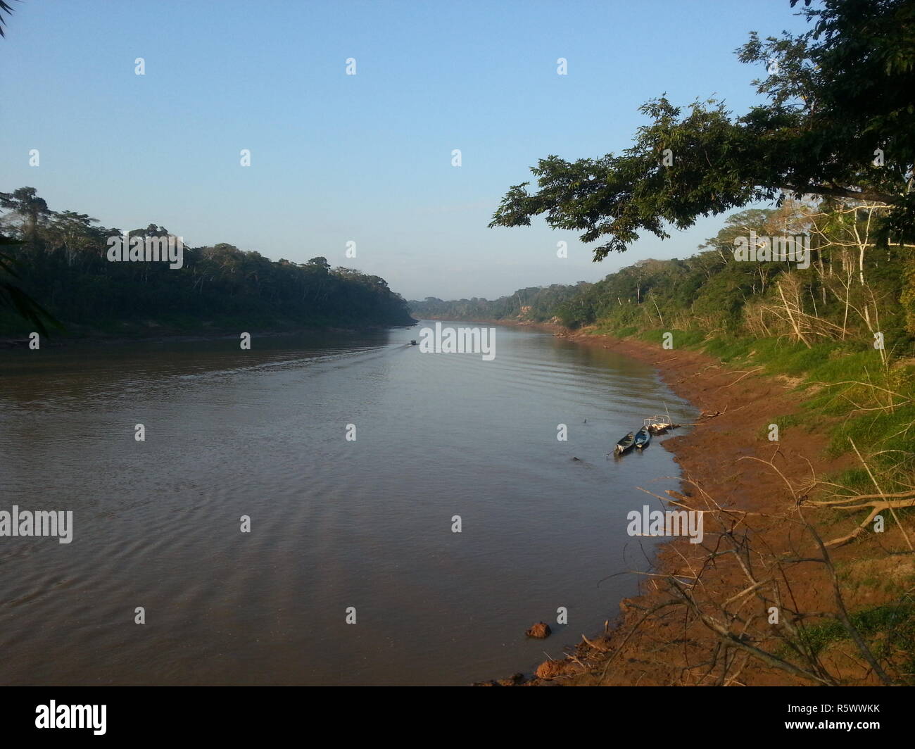 A tributary leading into the Amazon River Stock Photo - Alamy
