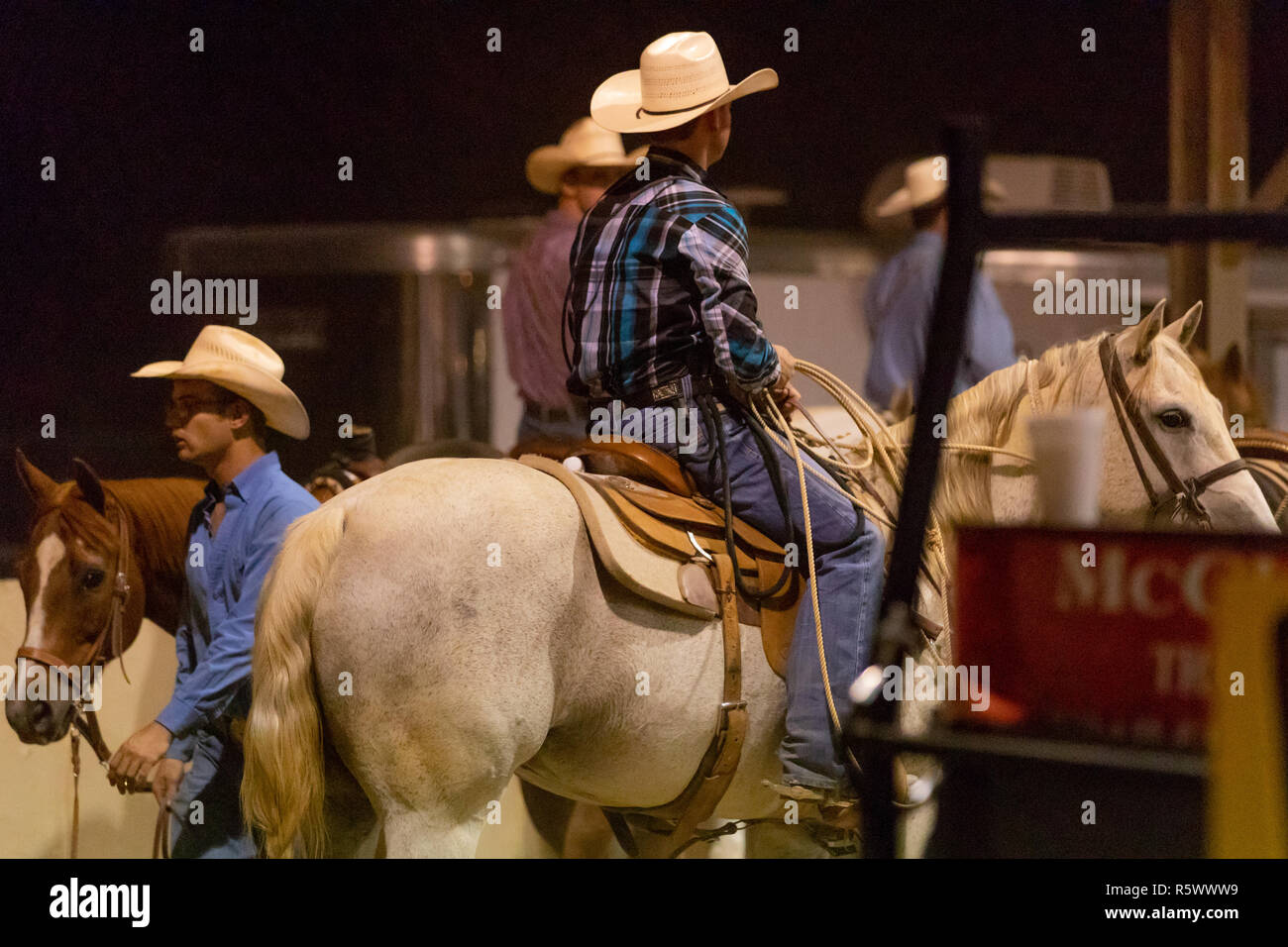 Male horse and lid hi-res stock photography and images - Alamy