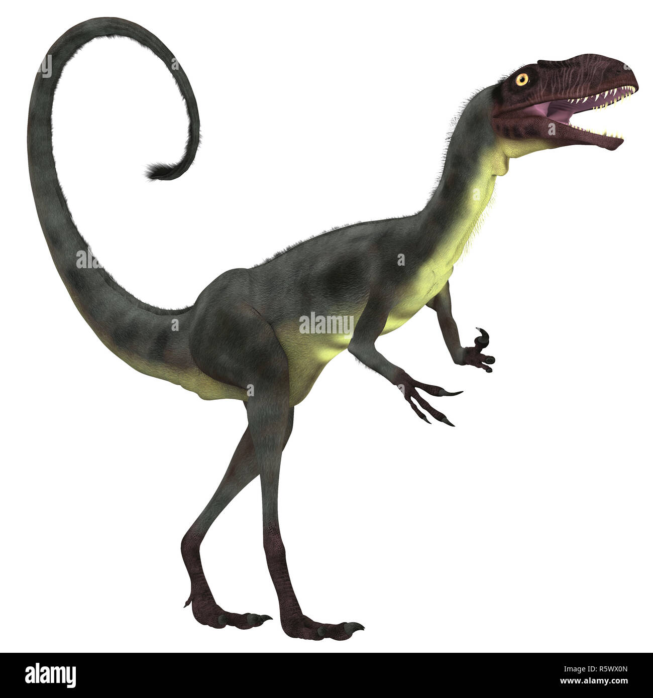 Prehistoric dinosaur fossil china hi-res stock photography and images ...