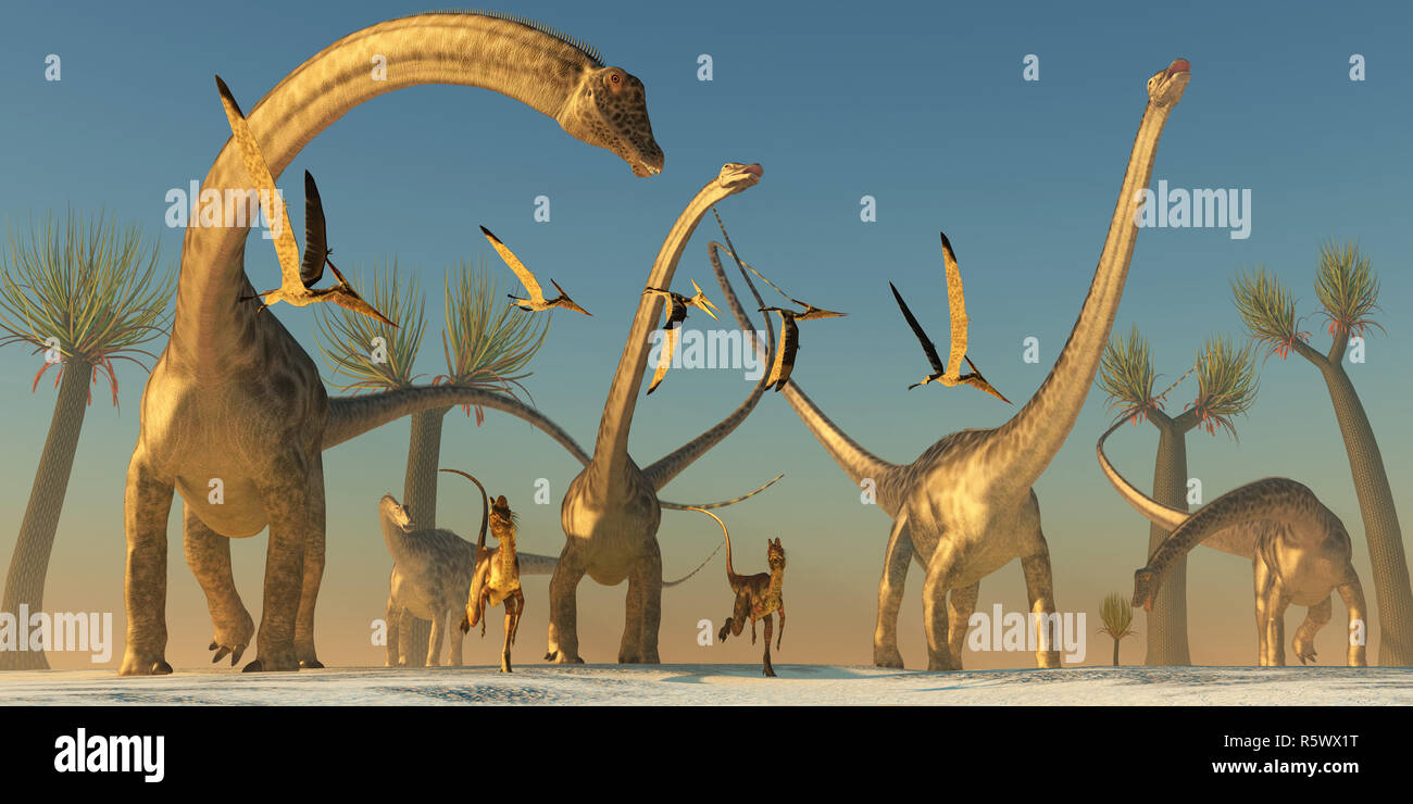 Diplodocus dinosaur gigantic herbivorous hi-res stock photography and ...