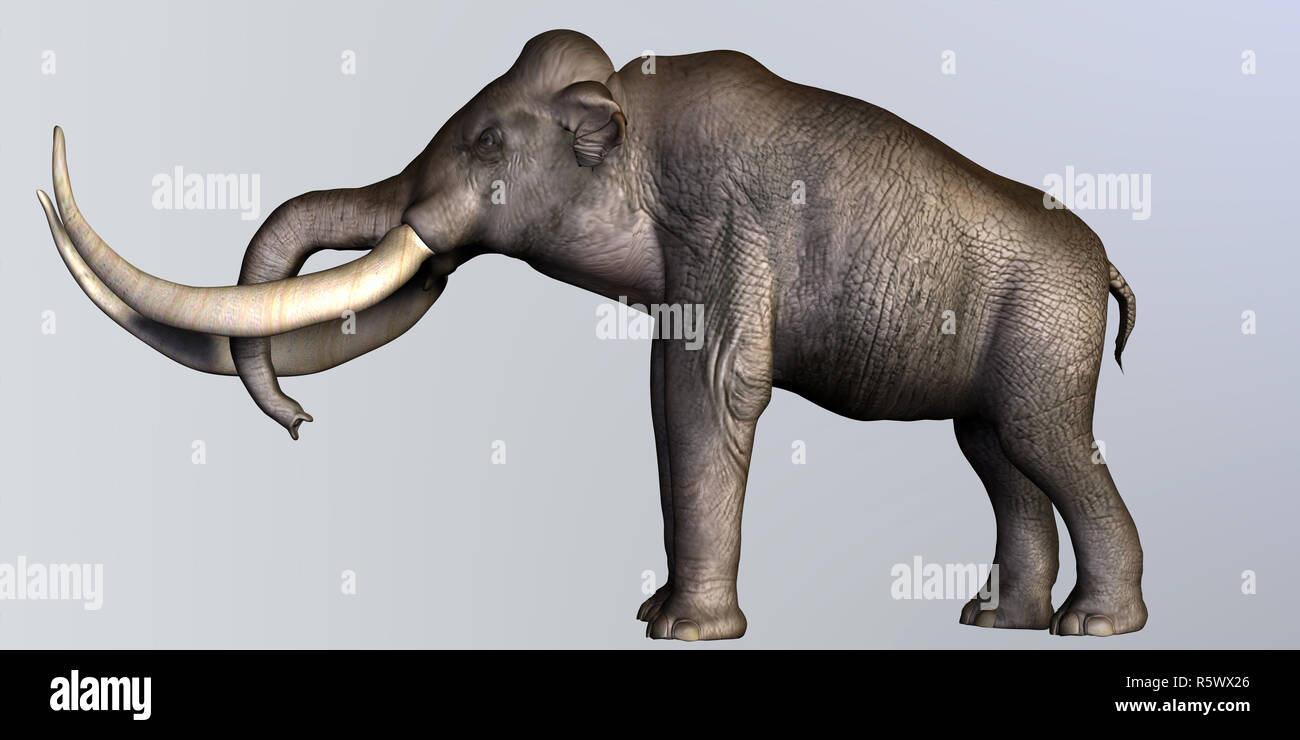Columbian Mammoth Side Profile Stock Photo - Alamy