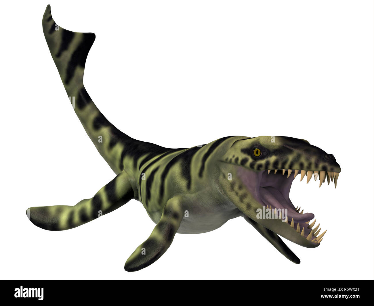 Dakosaurus andiniensis Cut Out Stock Images & Pictures - Alamy