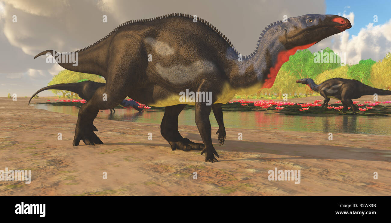 Camptosaurus Dinosaur