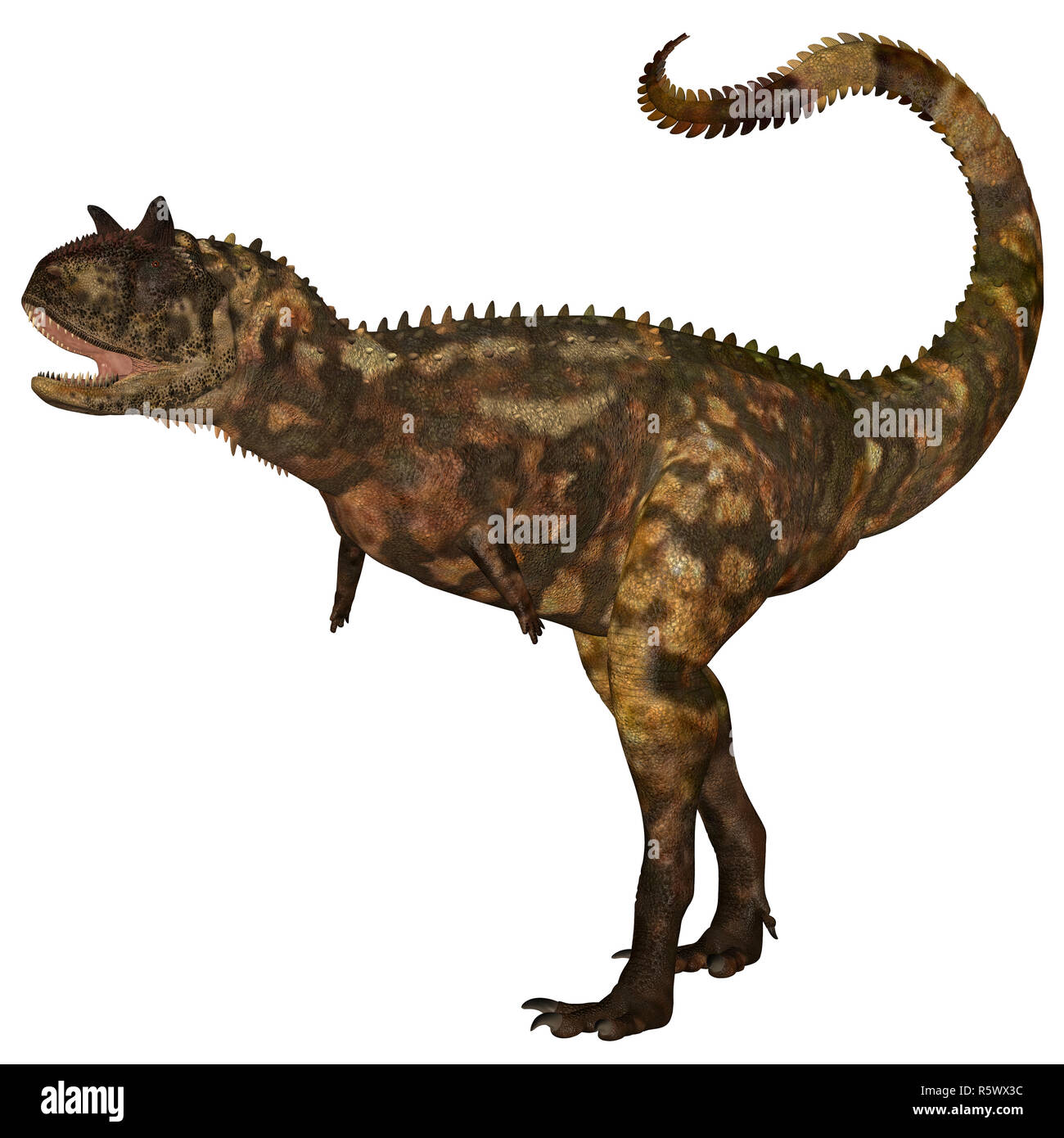 Carnotaurus dinosaur hi-res stock photography and images - Alamy