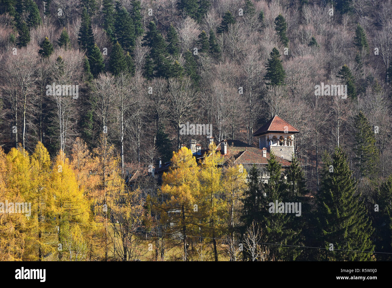 Beautiful autumn landscape with Cantacuzino Palace in the middle of ...