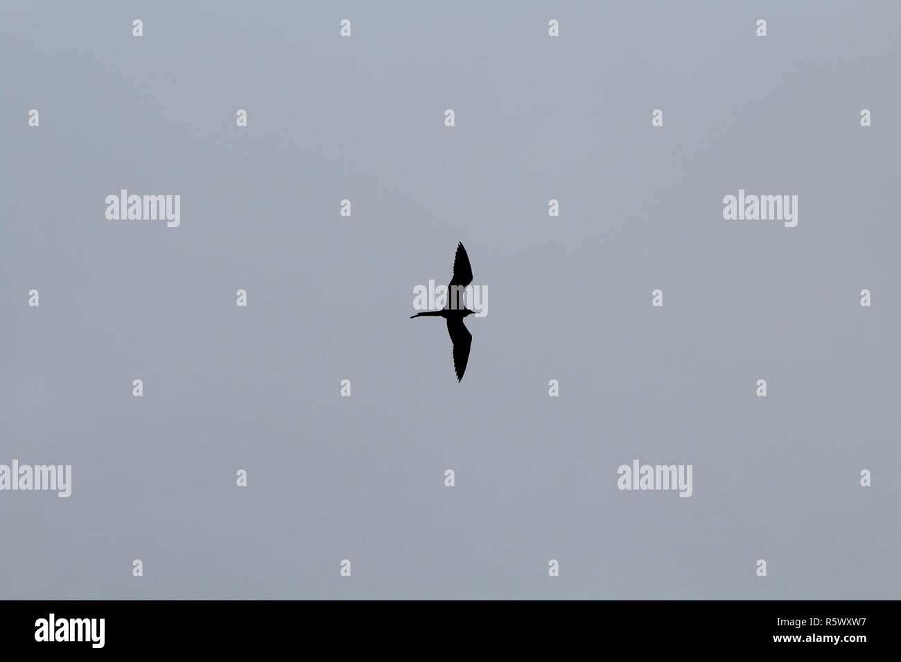 Flying from afar hi-res stock photography and images - Alamy