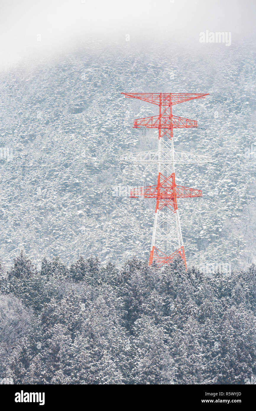 electric pole Power post with winter Landscape of Pine Forest at Nagano ...